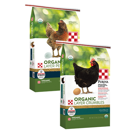 Purina Organic Layer Crumbles - D&D Feed & Supply