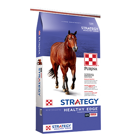 Purina Strategy Healthy Edge Horse Feed - D&D Feed & Supply