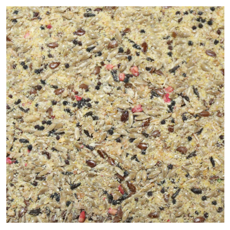Brooks Bird’s Choice Bird Seed- D&D Feed & Supply