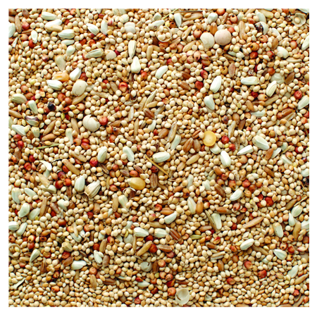 Brooks Birds of a Feather Deluxe Dove Blend - D&D Feed & Supply