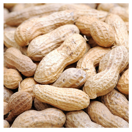 Brooks Birds of a Feather Peanuts in Shell - D&D Feed & Supply