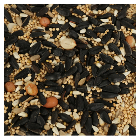 Brooks Birds of a Feather Songbird Seeds, Nuts and Fruits - D&D Feed