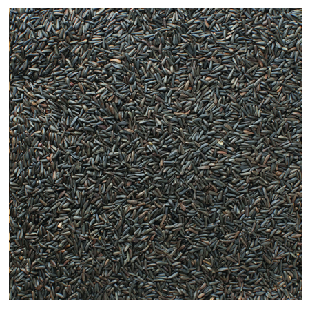 Brooks Birds of a Feather Thistle - D&D Feed & Supply