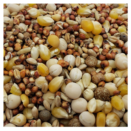 Brooks Go-Get-Um Racing Pigeon Blend 14% - D&D Feed & Supply