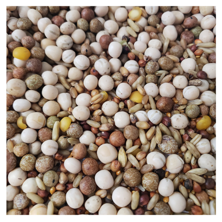 Go-Get-Um Racing Pigeon Blend Breeder 17% - D&D Feed & Supply