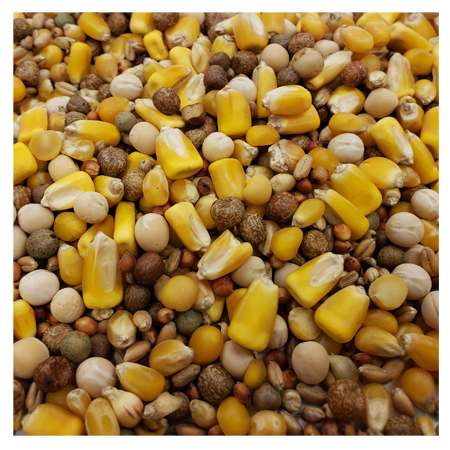 Go-Get-Um Racing Pigeon Blend Racing 13% - D&D Feed & Supply