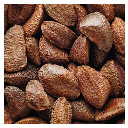 Brooks Orchard Fresh Brazil Nuts - D&D Feed & Supply