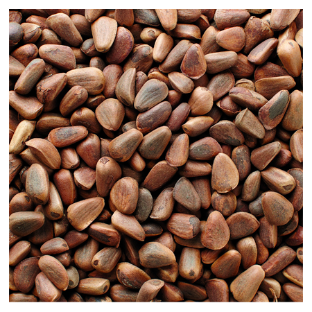 Brooks Orchard Fresh Pine Nuts - D&D Feed & Supply