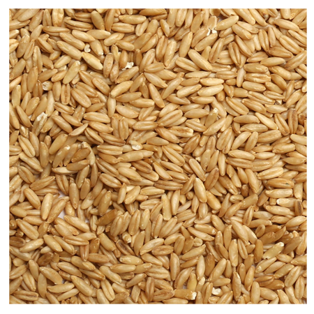 Brooks Raw Grains Oat Groats - D&D Feed & Supply