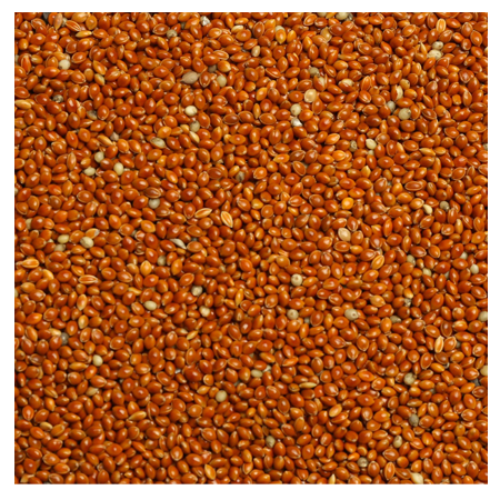 Brooks Raw Grains Red Proso Millet - D&D Feed & Supply