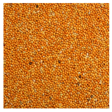 Brooks Raw Grains Red Siberian Finch Millet - D&D Feed & Supply