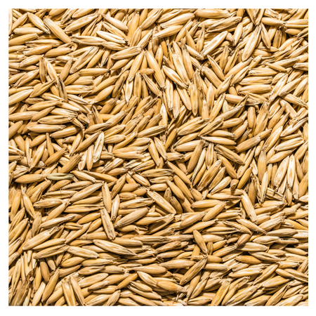 Brooks Raw Grains Whole Oats - D&D Feed & Supply