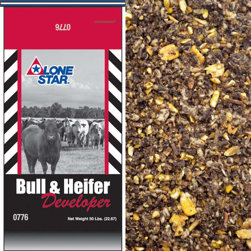 Lone Star Bull & Heifer Developer Pellets (Medicated) - D&D Feed & Supply